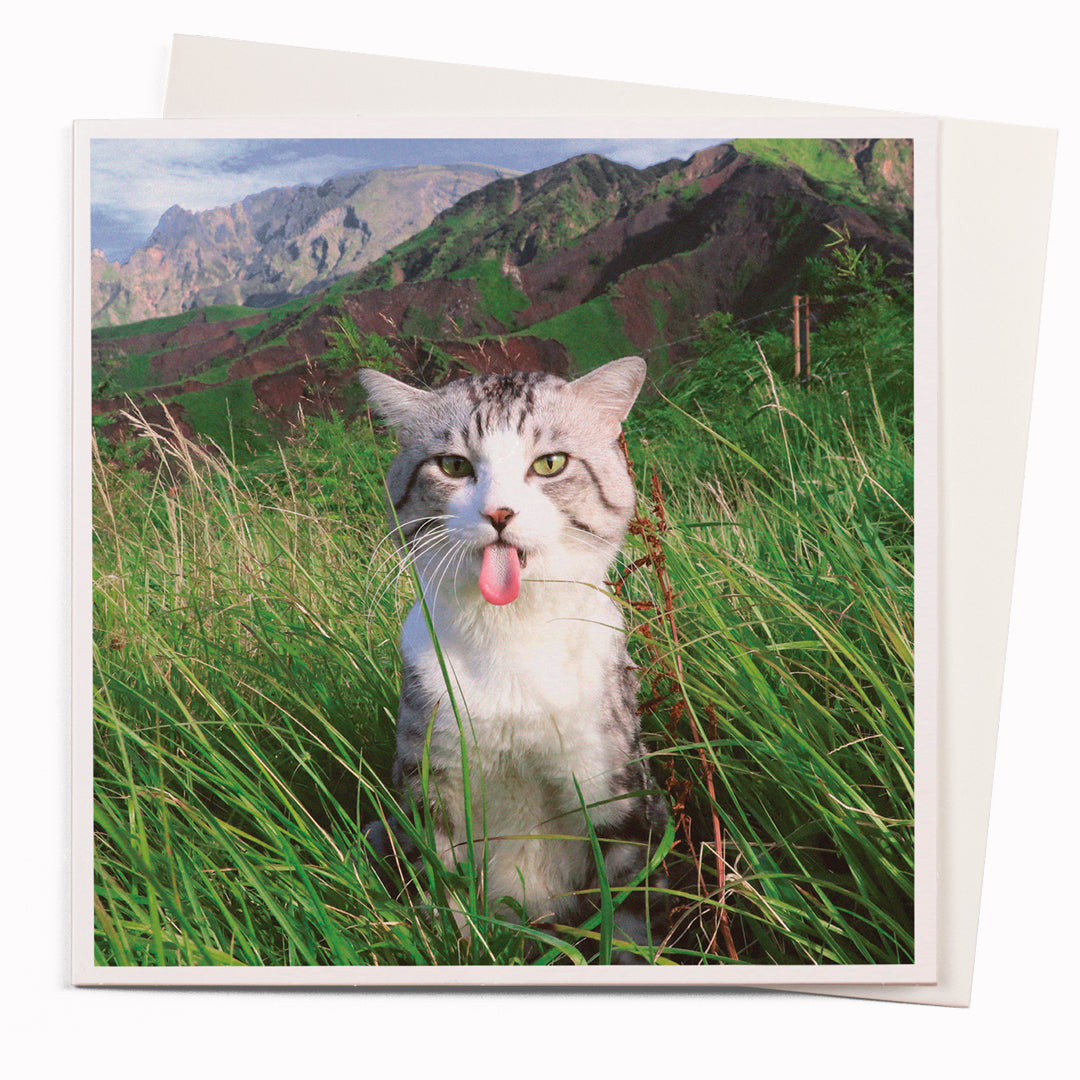 USTUDIO Design Photo Greeting Card by Shosei Iihoshi | Cat Mountain