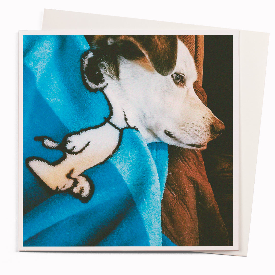USTUDIO Design Photographic Greeting Card by Joseph Turco | Snoopy Dog