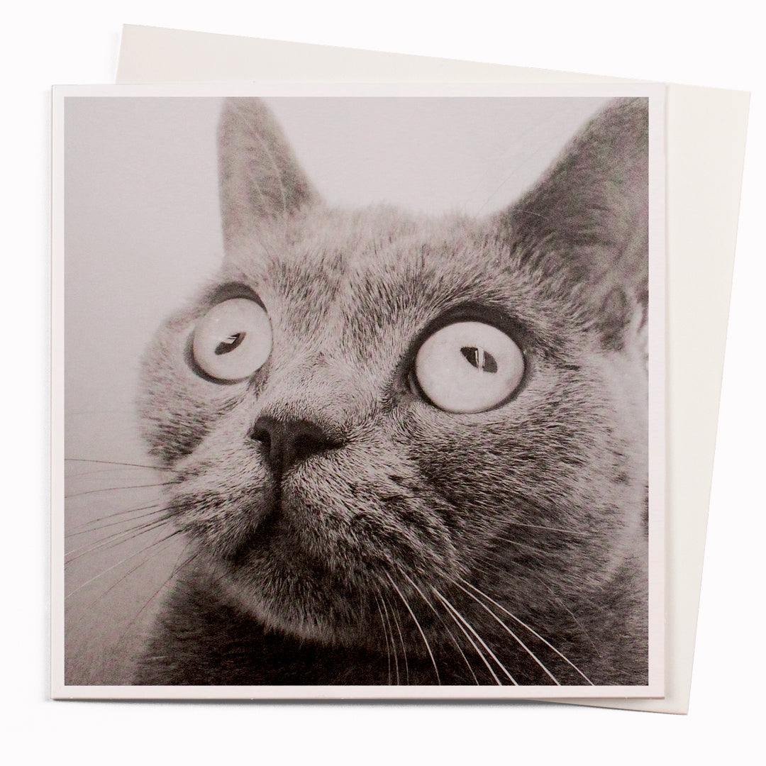 USTUDIO Design Photographic Greeting Card by Matt McCarthy | Eye Roll