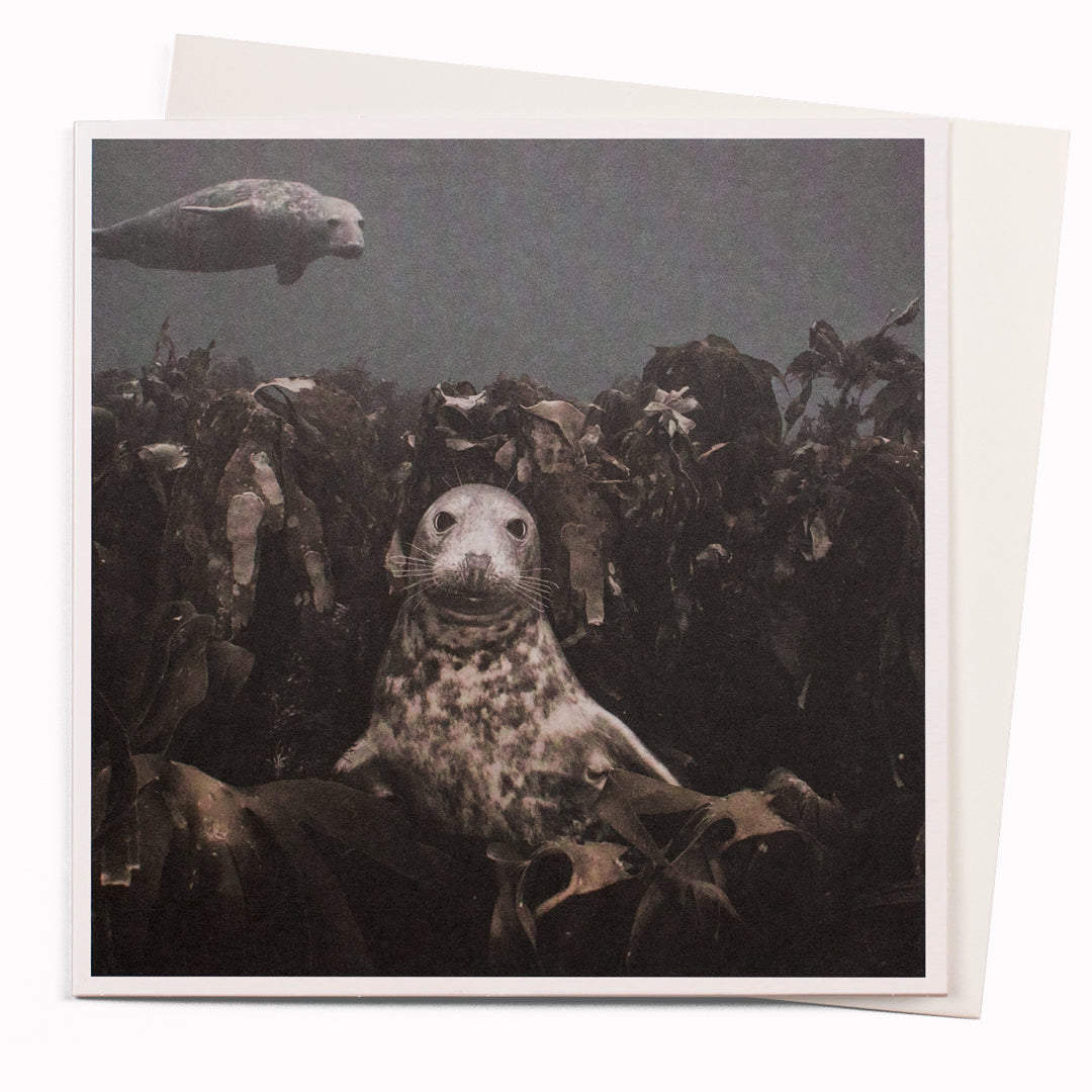 USTUDIO Design Photo Greeting Card by Ellen Cuylaerts | Throne Of Kelp