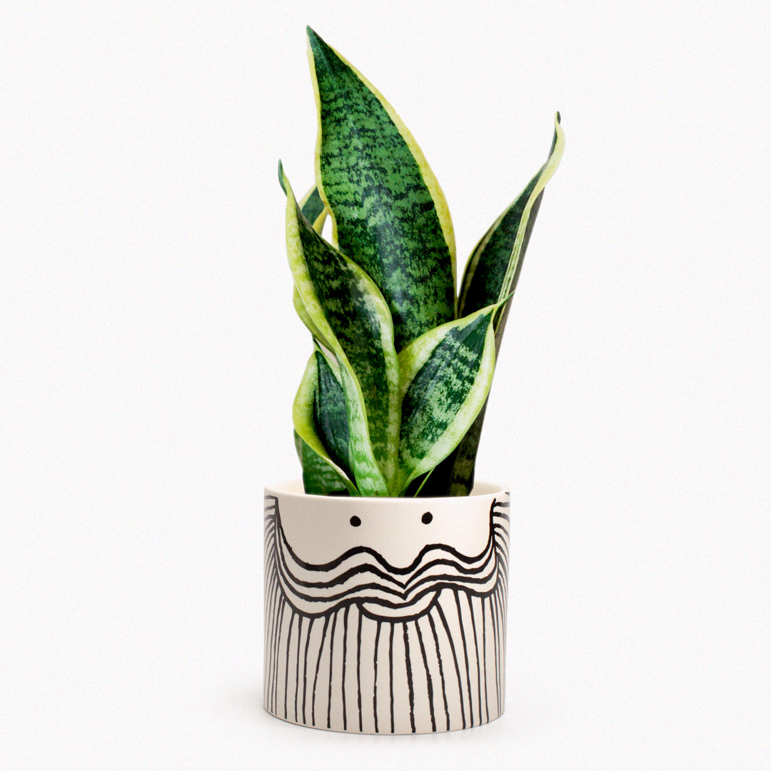 USTUDIO Design Illustrated Planter | Beardy Samuel | D. 11.5cm